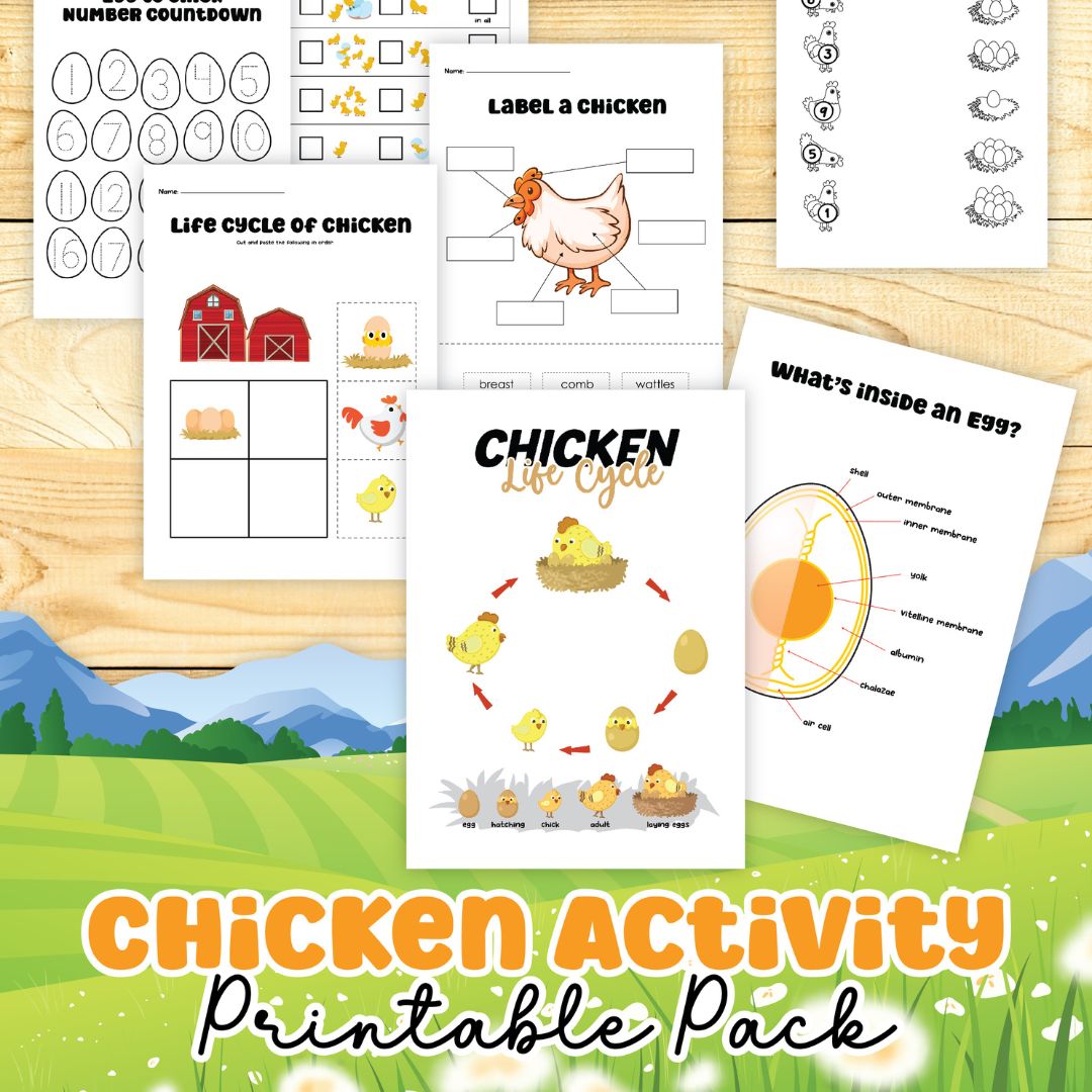 Animal Life Cycles - Little Bins for Little Hands