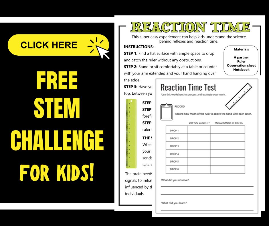 Reaction Time Science Project