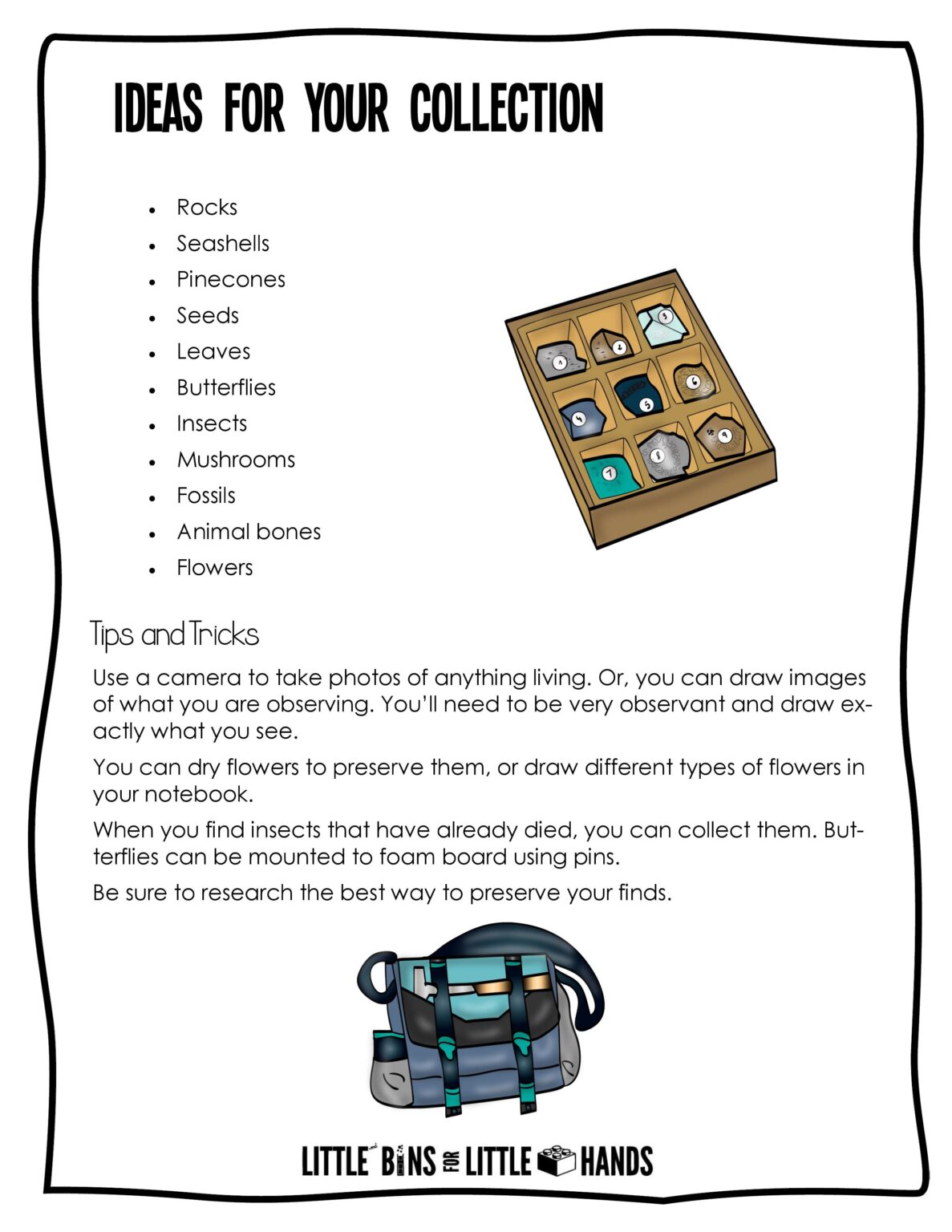 Science Collecting Activities for Kids