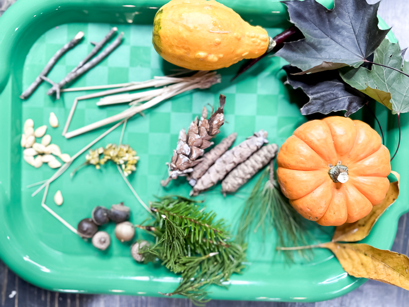 Fall Sink or Float Experiment for Kids