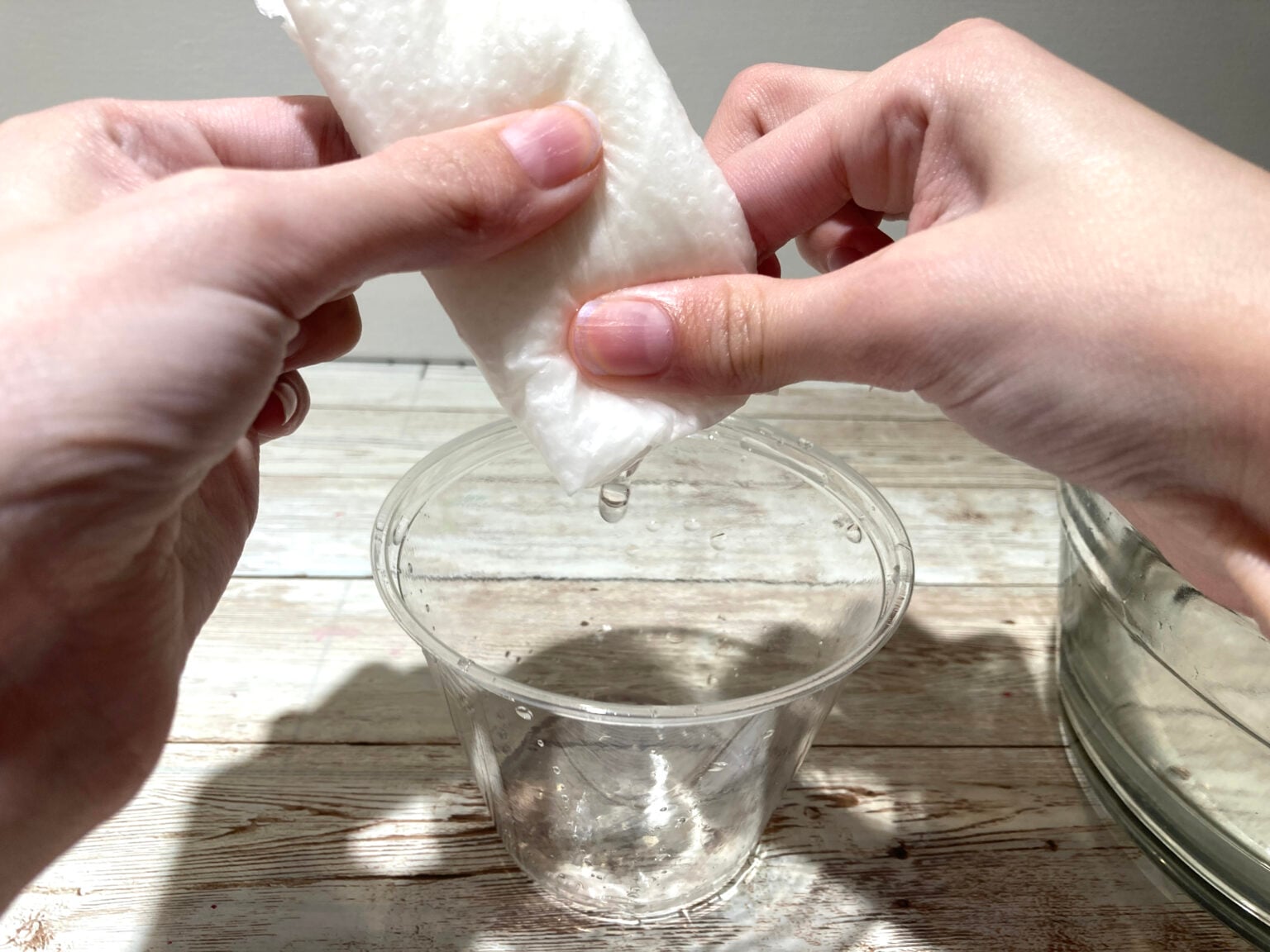 Paper Towel Experiment: Absorption