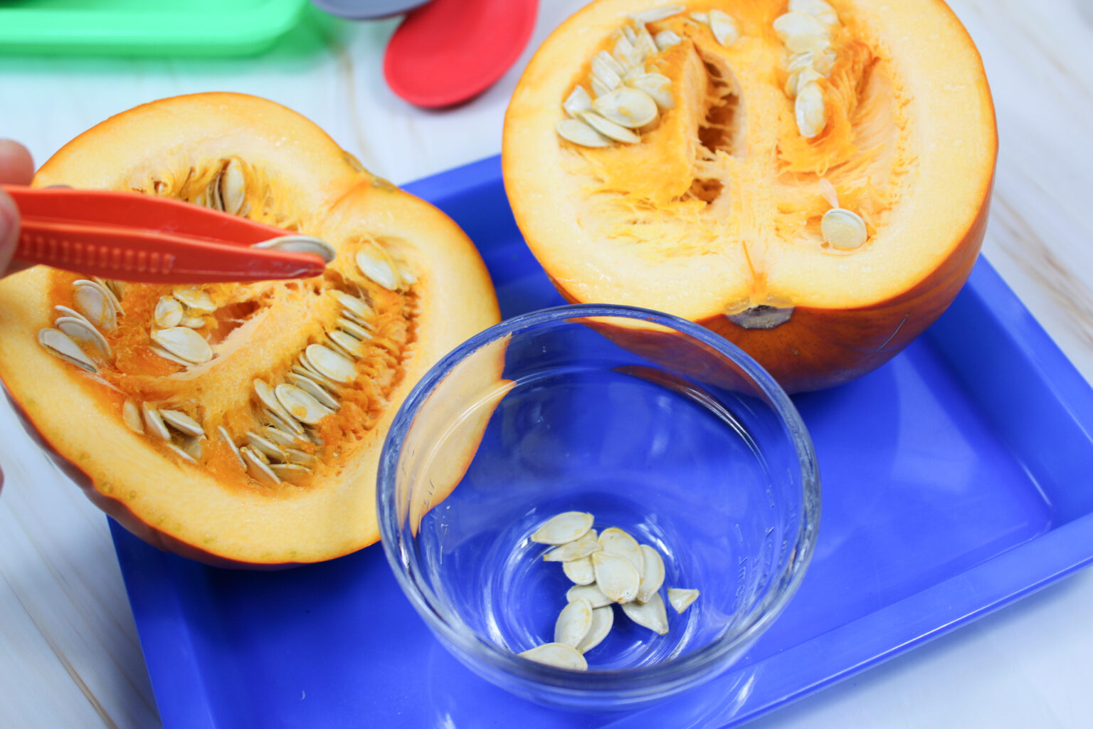 Fall Seed Investigation: How Many Seeds?