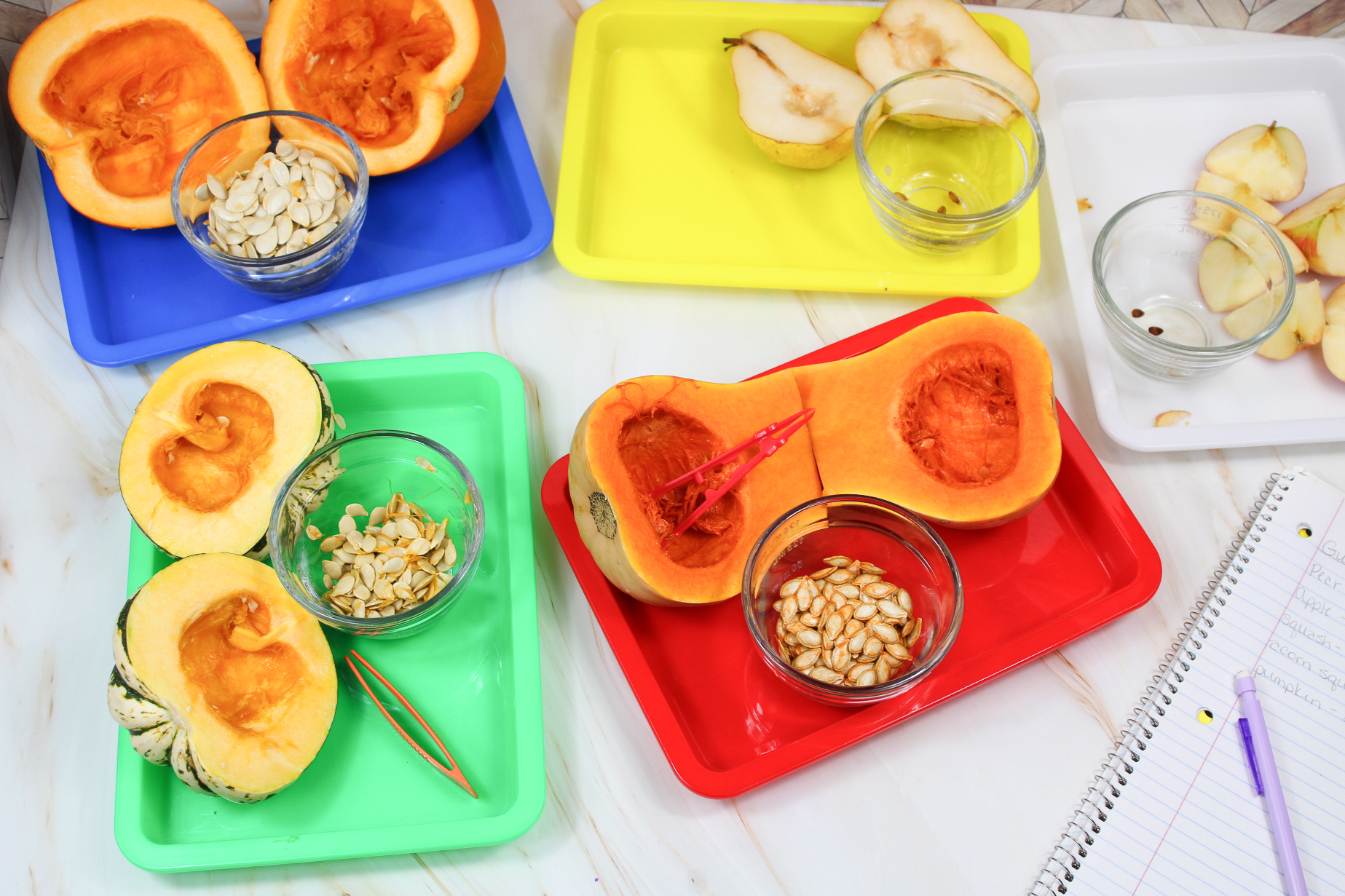 Fall Seed Investigation: How Many Seeds?