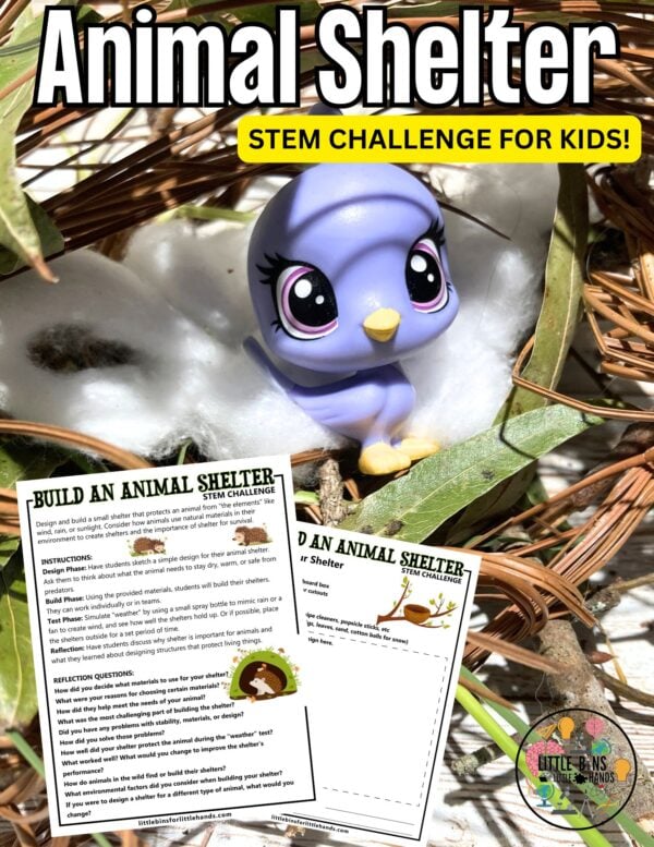 Animal Shelter STEM Challenge