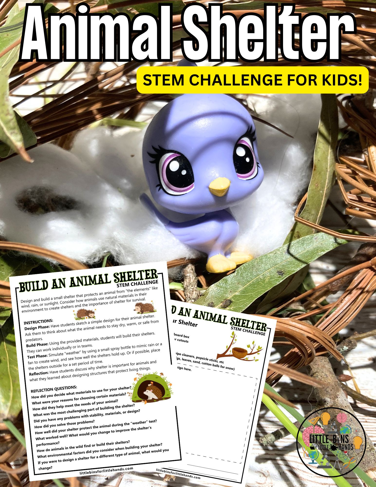Animal Shelter STEM Challenge