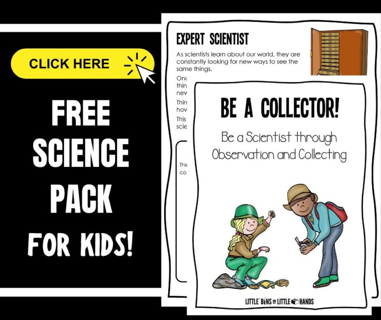 Science Collecting Activities for Kids