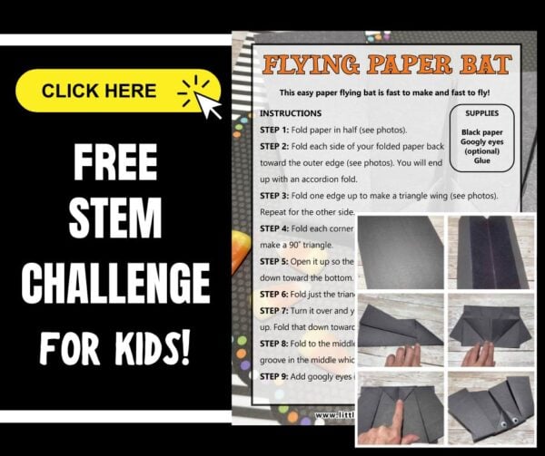 Flying Bat Paper Airplane for Halloween STEM