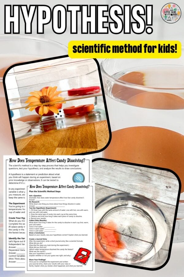 Hypothesis for Kids (Hypothesis Examples)