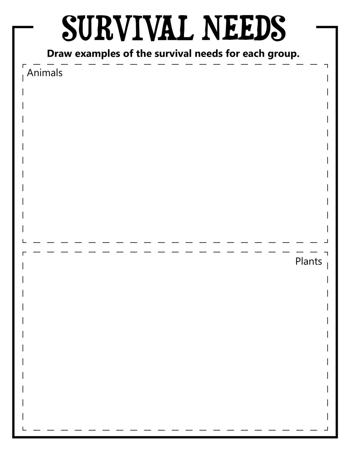 Plant and Animal Needs Worksheets