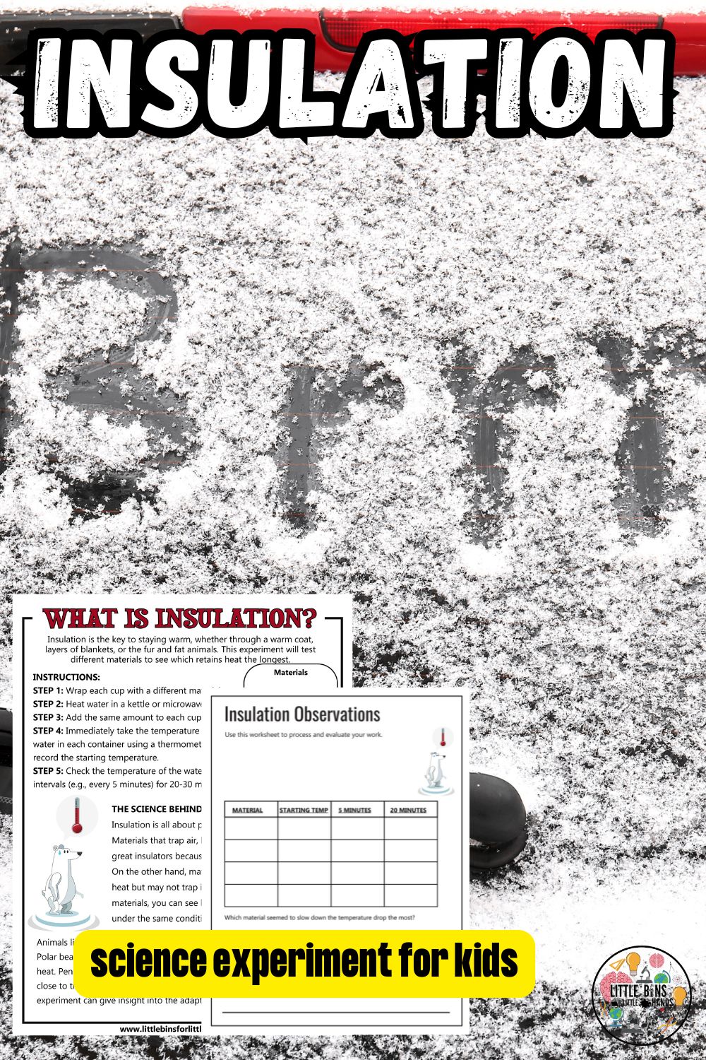 Insulation Science Experiment