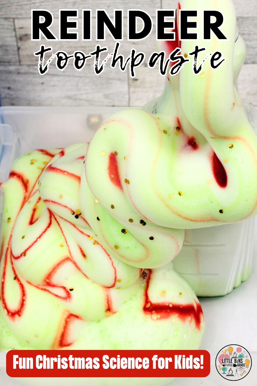 Reindeer Toothpaste - Little Bins for Little Hands