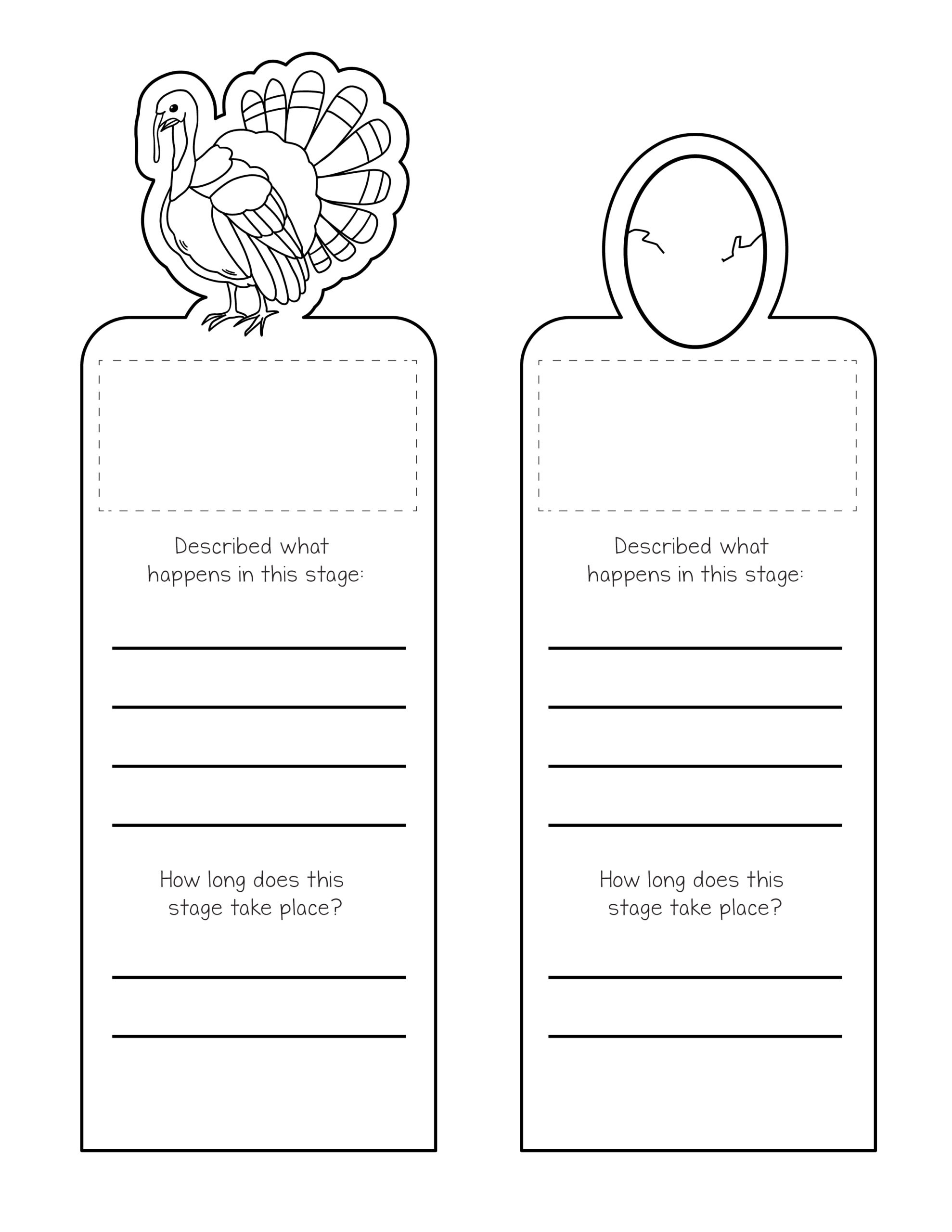Turkey Lapbook for Kids (Free Printable)