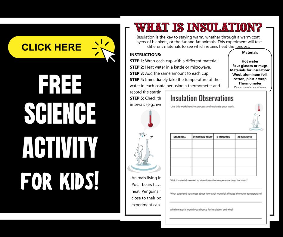 Insulation Science Experiment for Kids | How Animals Stay Warm