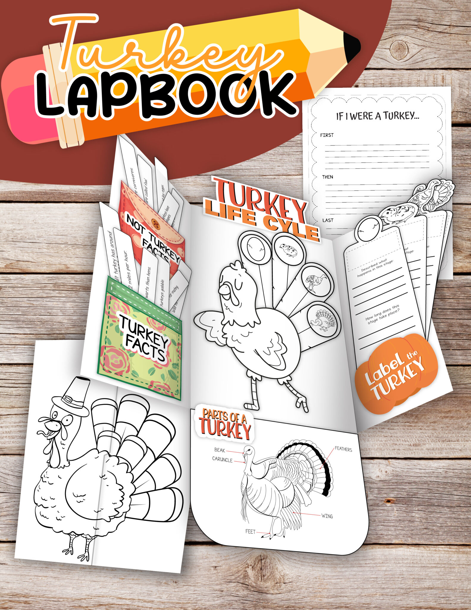 Turkey Lapbook for Kids (Free Printable)