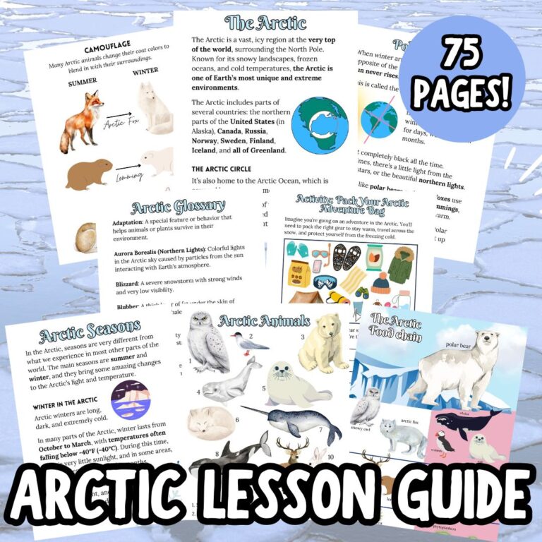 Arctic Animals & Habitat for Kids (Ecosystem, Food Web & Survival ...
