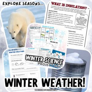 Winter Animal Adaptations Experiment