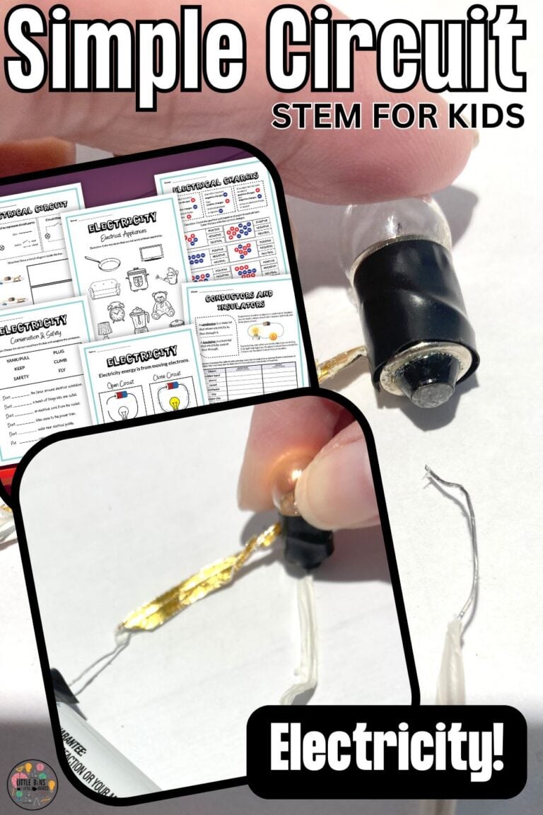 Simple Circuits for Kids STEM