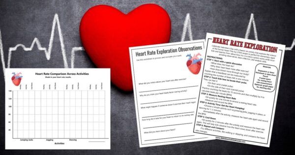 Valentine’s Day Science Experiments for Kids