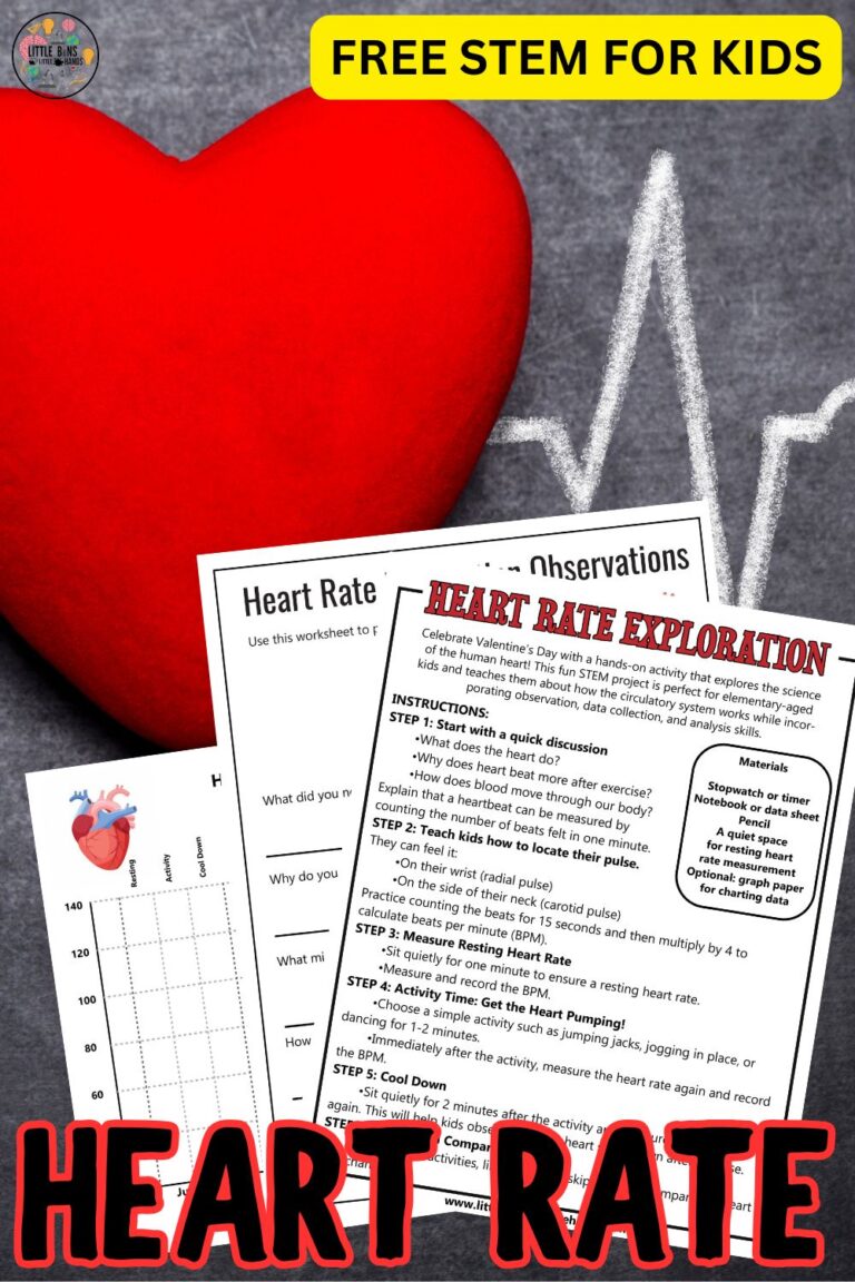 Heart Rate Experiment Science Project