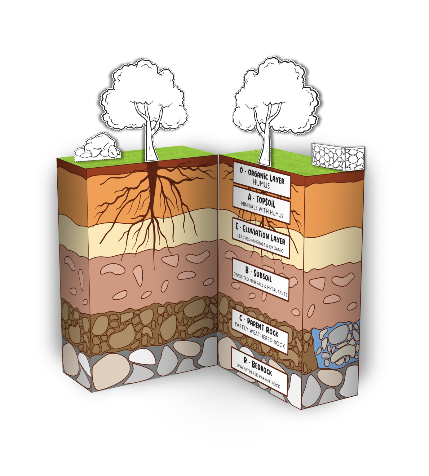 3D Printable Soil Layers Model