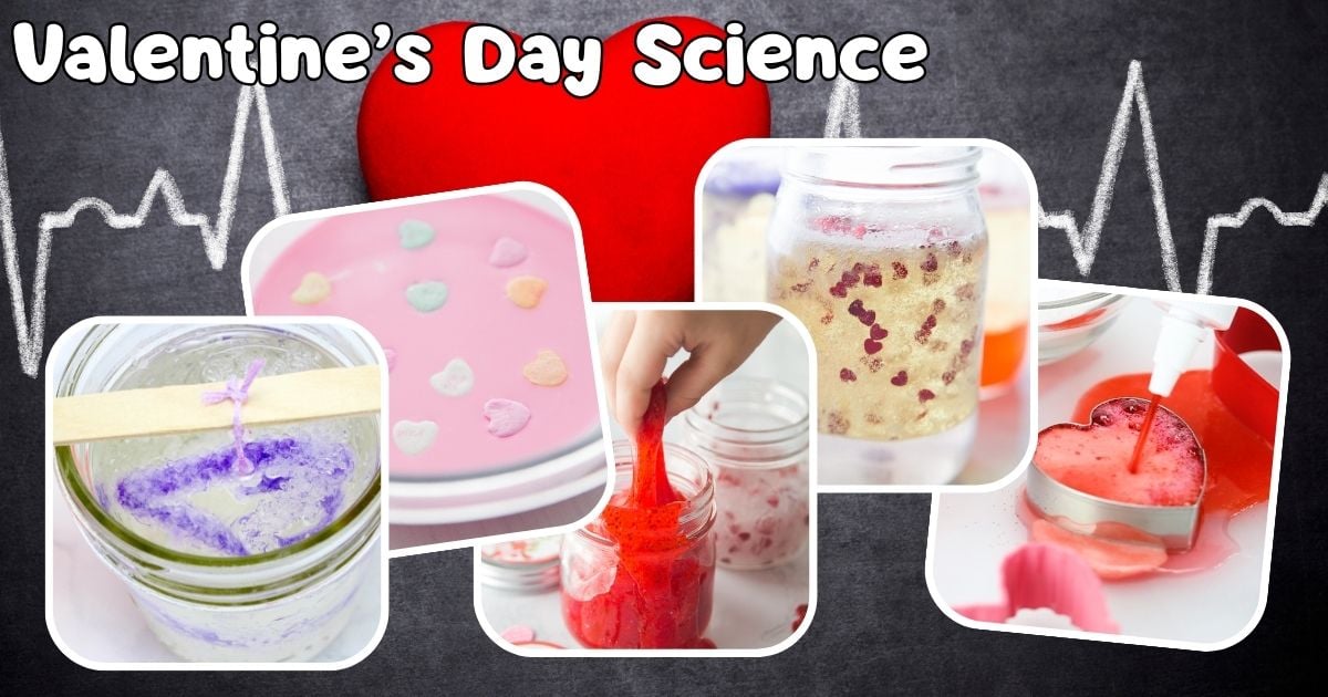 Valentine’s Day Science Experiments for Kids