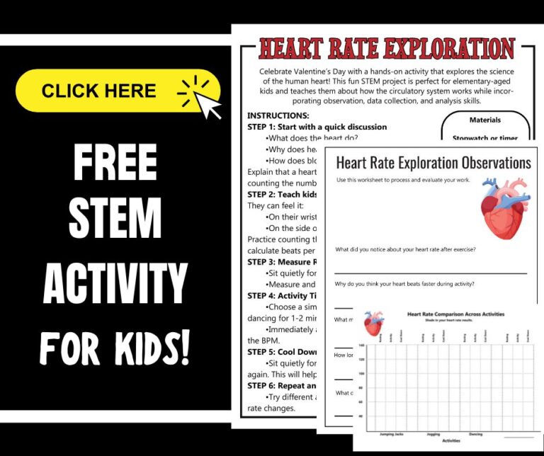 Heart Rate Experiment Science Project