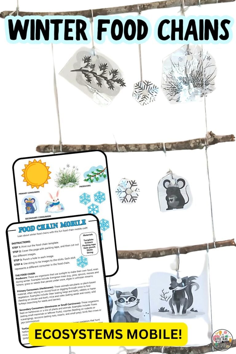 Winter Food Chain Activities for Kids