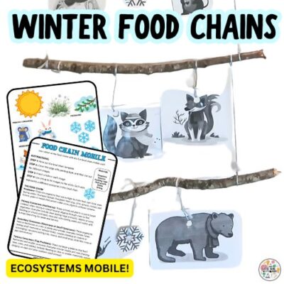 Arctic Animals & Habitat for Kids (Ecosystem, Food Web & Survival ...
