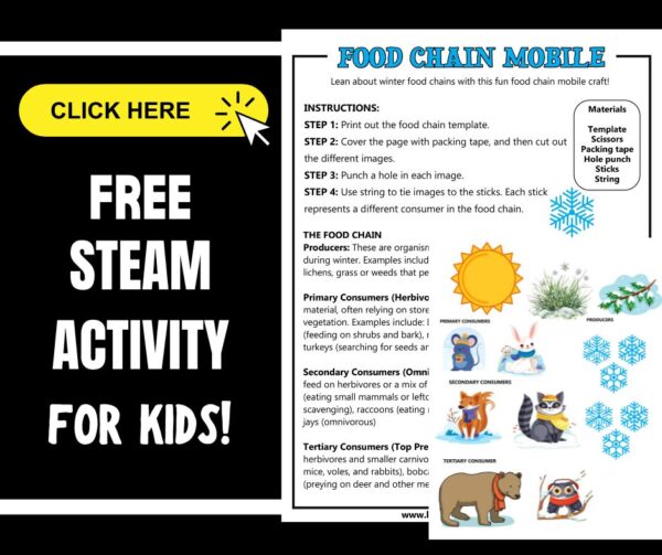 Winter Food Chain Activities for Kids