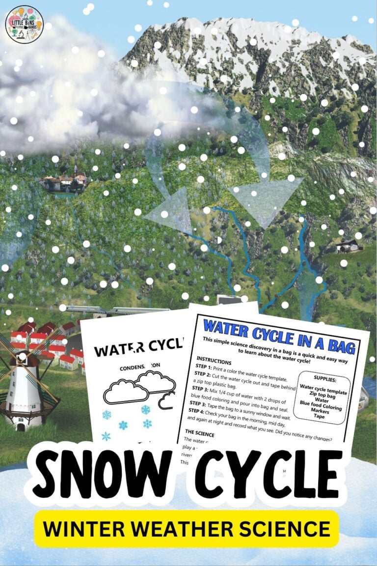 Winter Water Cycle Activity for Kids