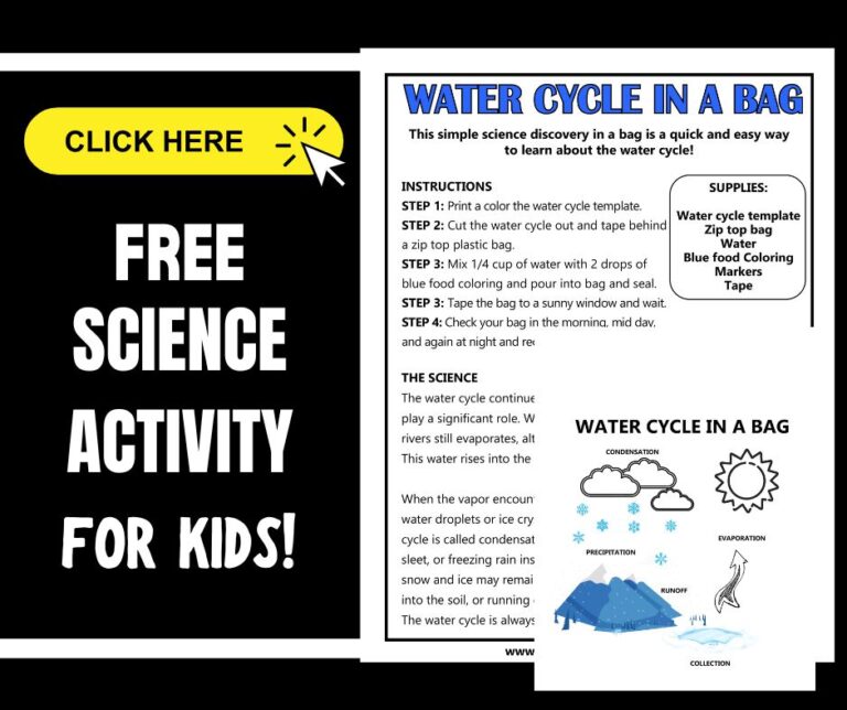 Winter Water Cycle Activity for Kids