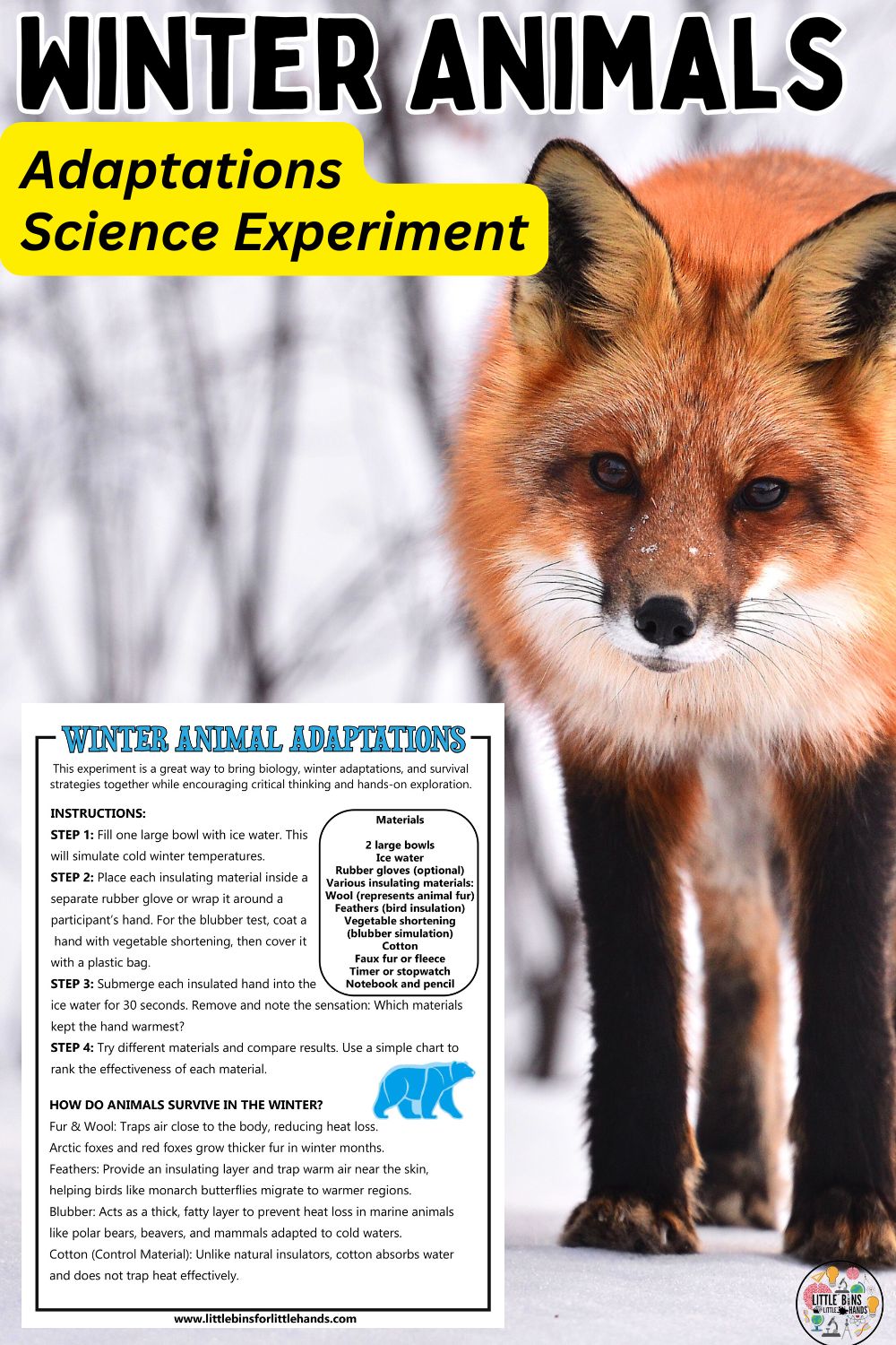 Winter Animal Adaptations Experiment