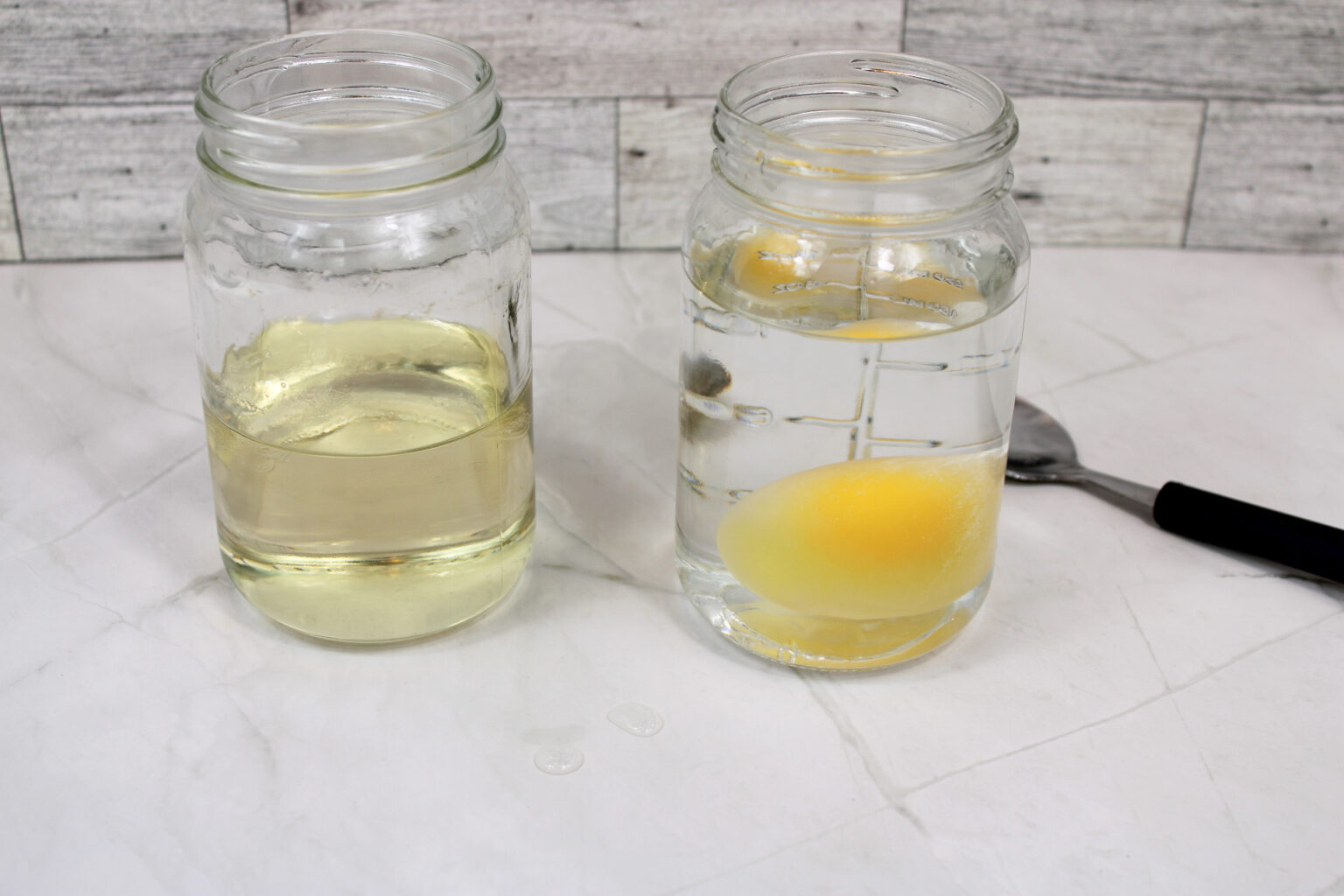 Egg Osmosis Experiment (Rubber Egg Lab)