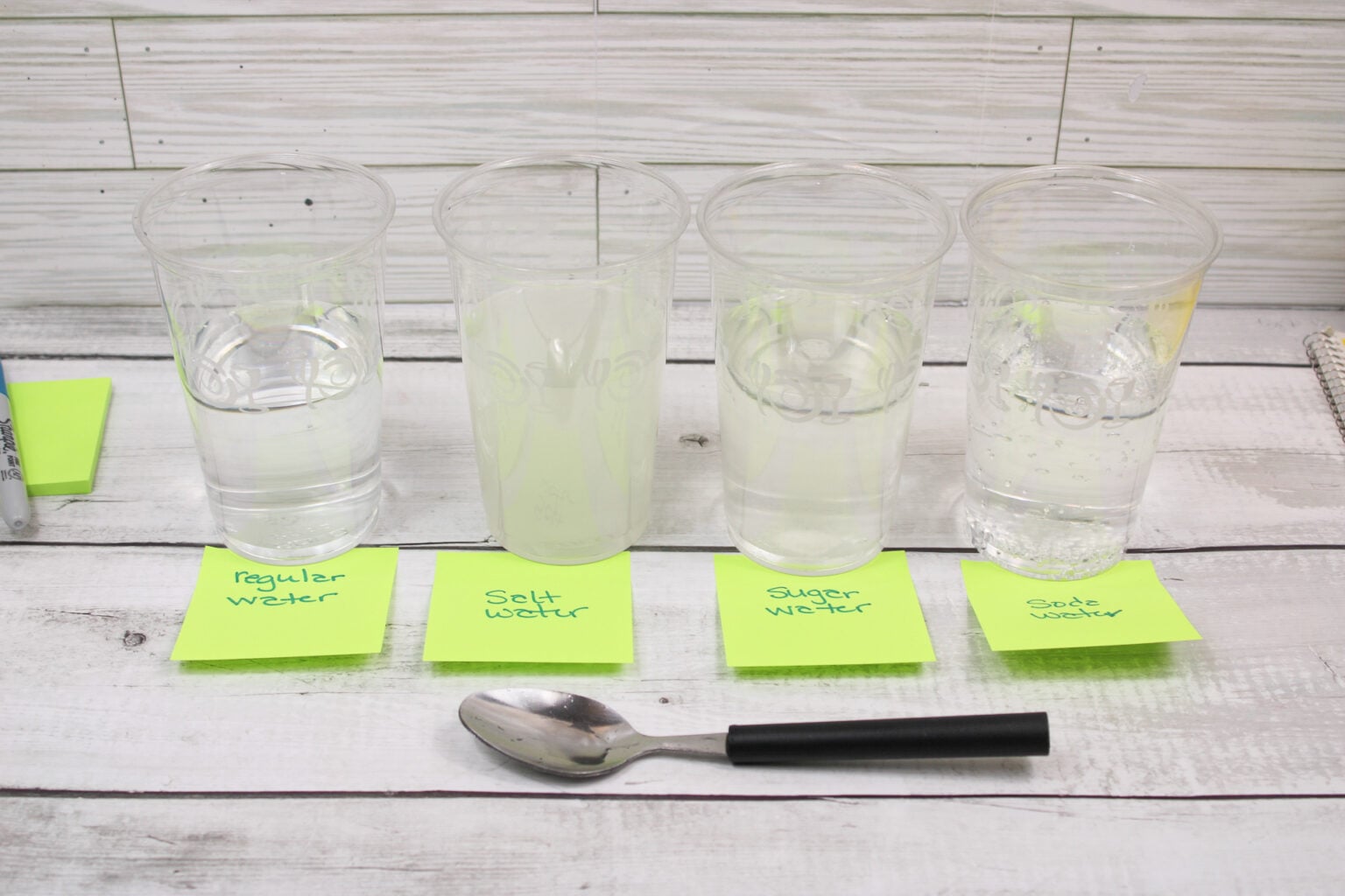 Salt Water Density Experiment for KIds