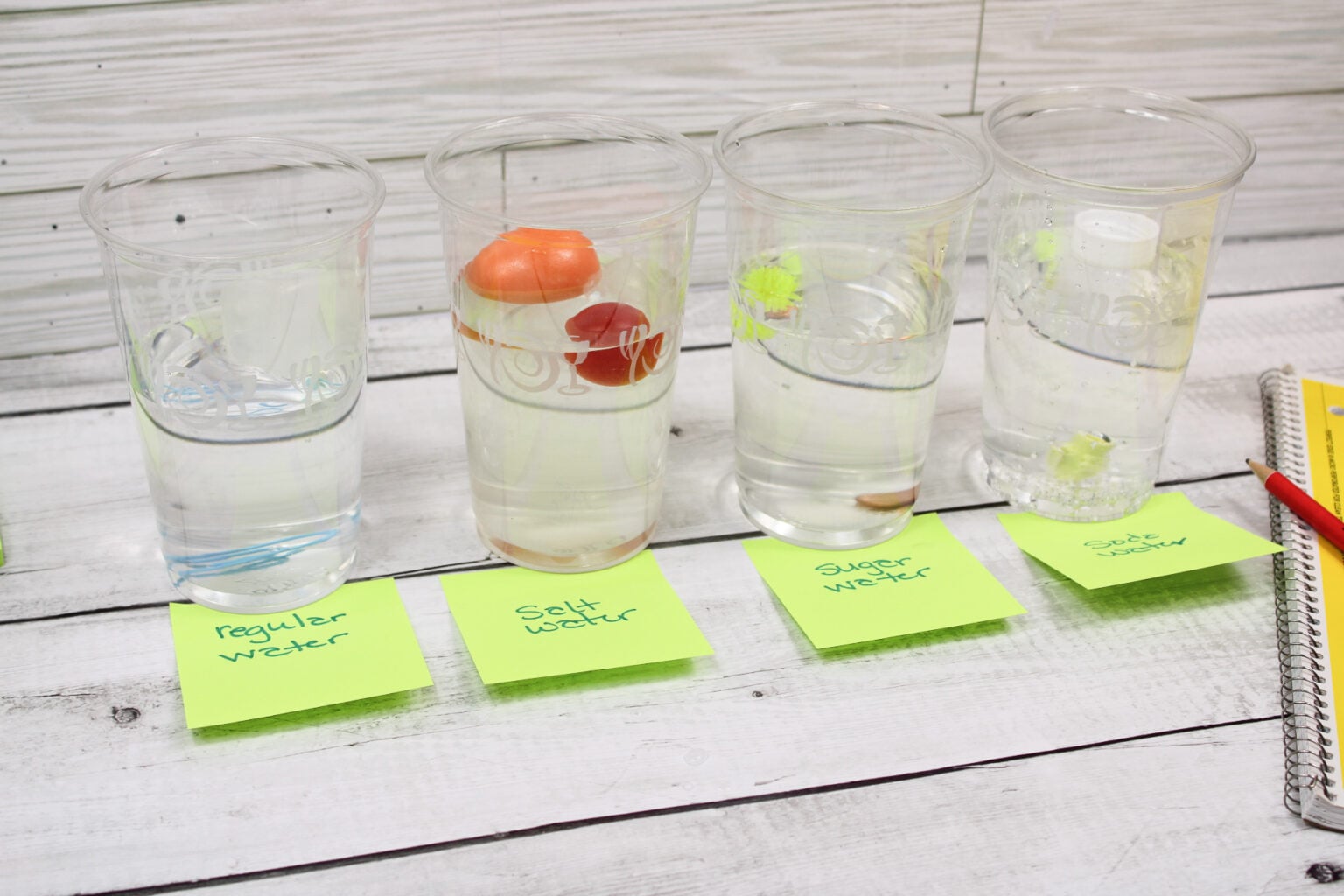 Salt Water Density Experiment for KIds