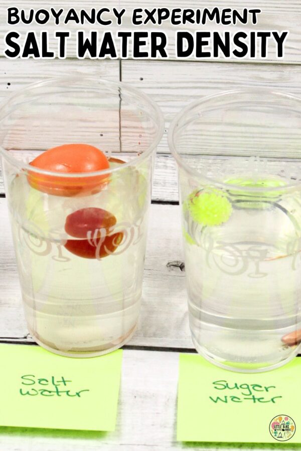 Salt Water Density Experiment for KIds