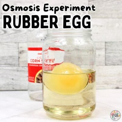 Floating Egg Experiment for Kids