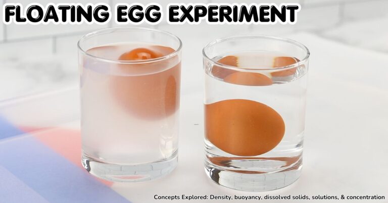 Floating Egg Experiment For Kids (Density & Buoyancy Activity)
