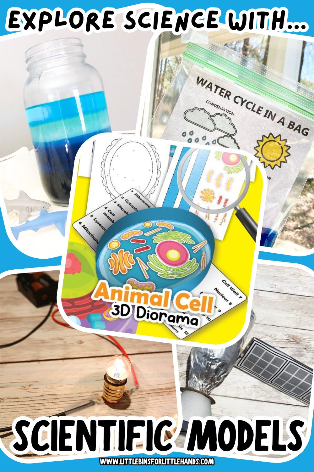 20+ DIY Scientific Models for Kids