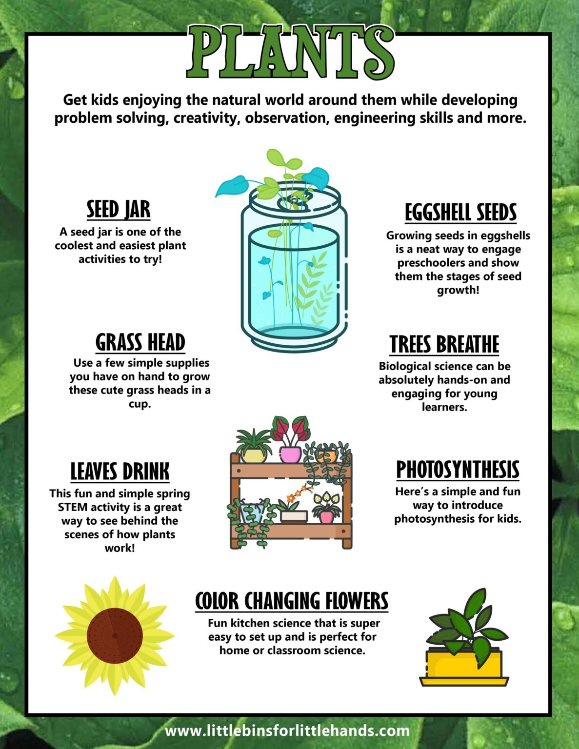 Plant Experiments for Kids | Little Bins for Little Hands