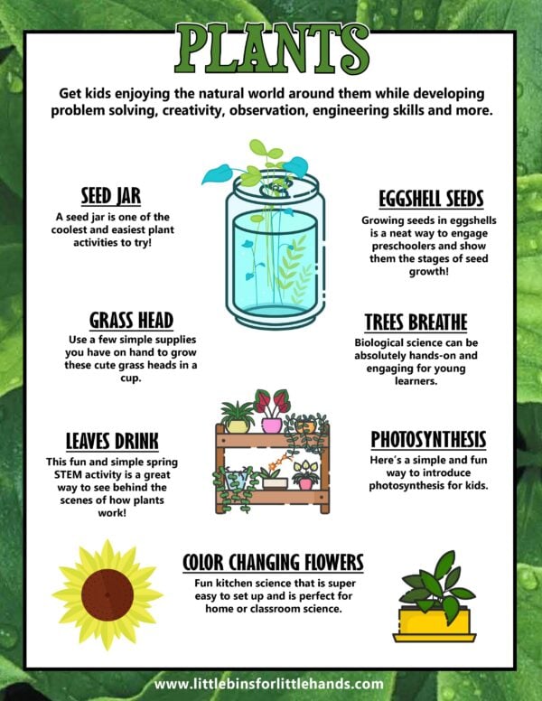 Plant Experiments for Kids | Little Bins for Little Hands