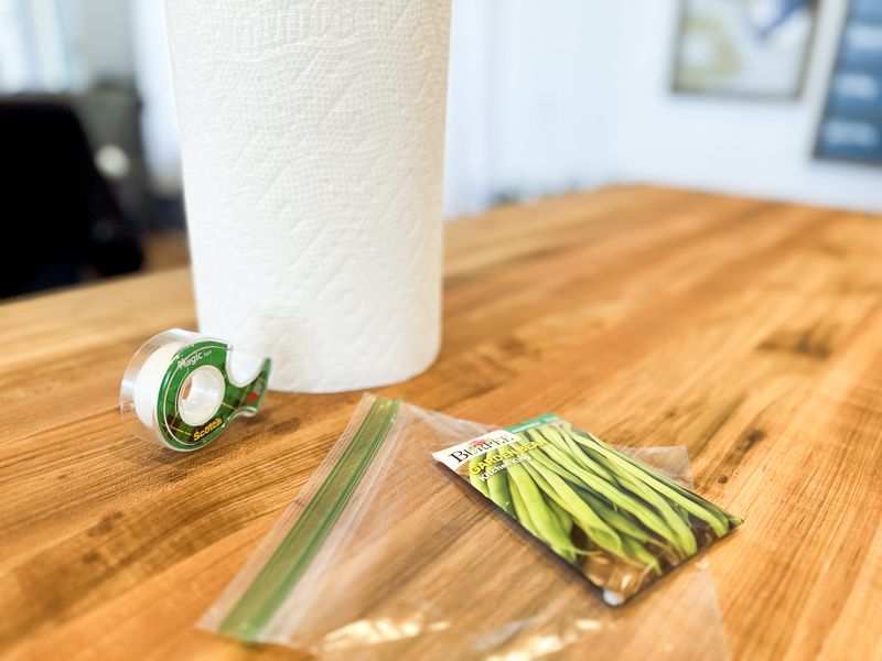 Germinating Seeds in a Bag: Observe Plant Growth