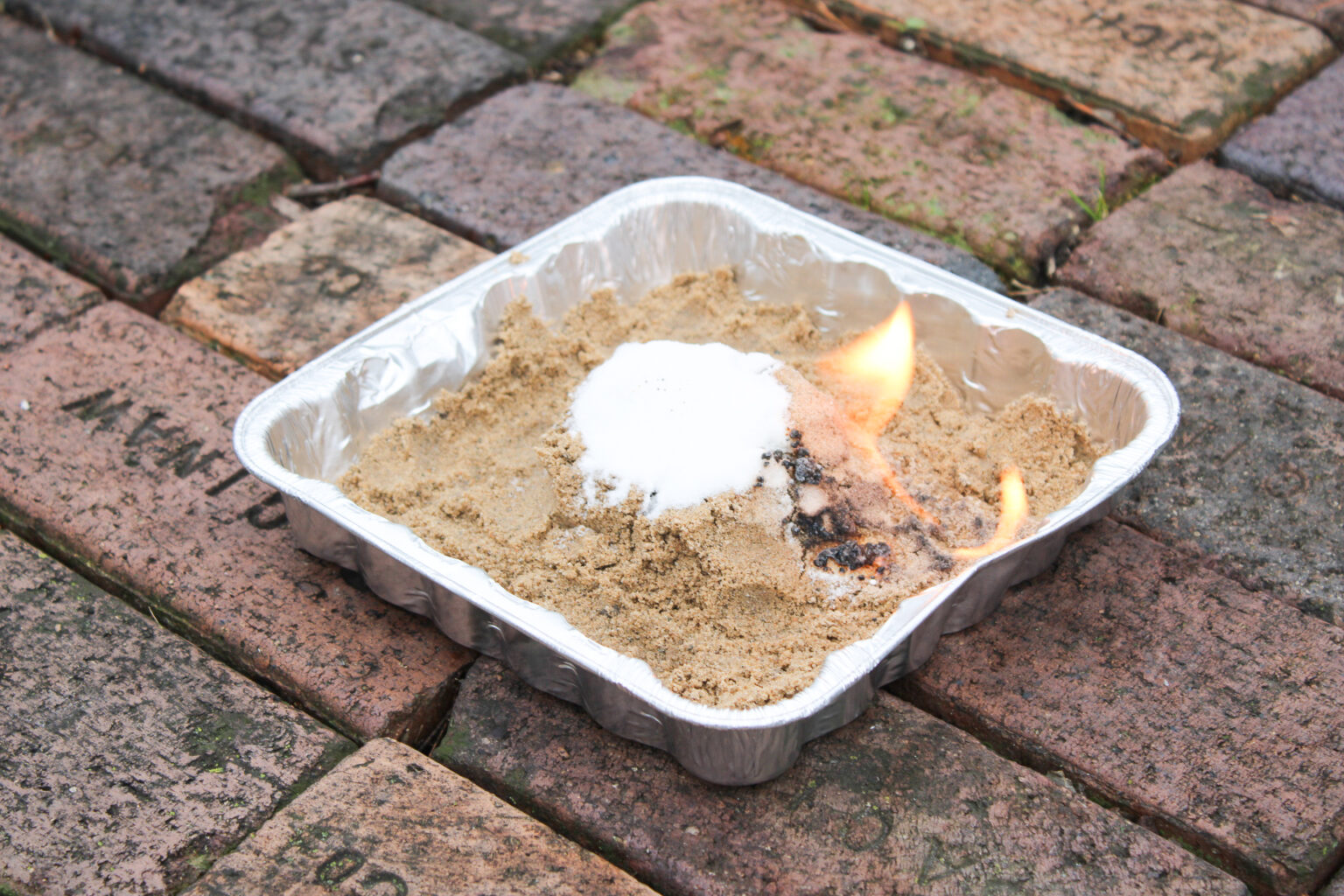 Carbon Sugar Snake Experiment | Chemical Reactions for Kids