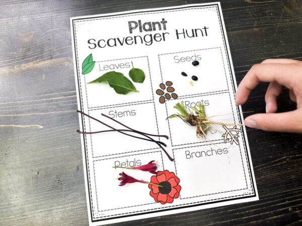 Preschool Plant Scavenger Hunt