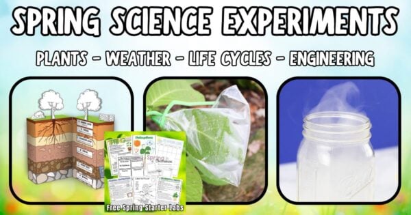 Spring Science Activities for Kids (Easy Spring STEM Experiments)