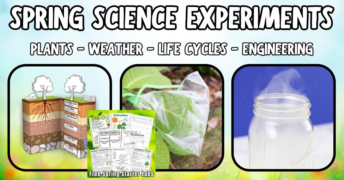 Spring Science Activities for Kids (Easy Spring STEM Experiments)