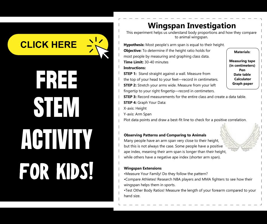 Is Your Arm Span Equal to Your Height: Wingspan Investigation