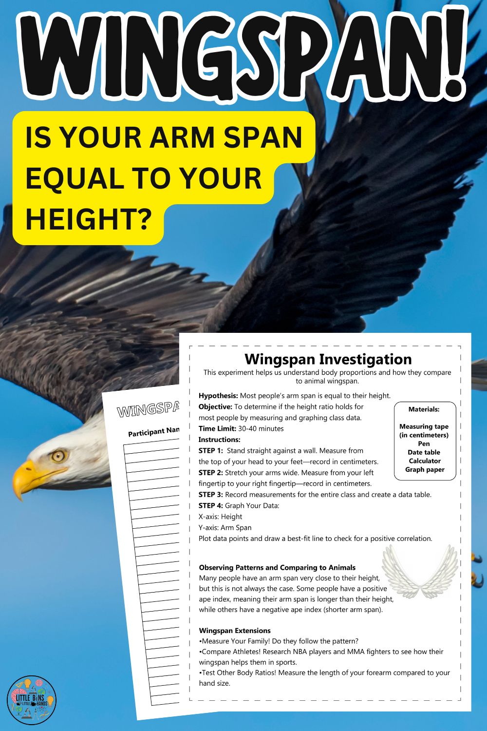 Is Your Arm Span Equal to Your Height: Wingspan Investigation