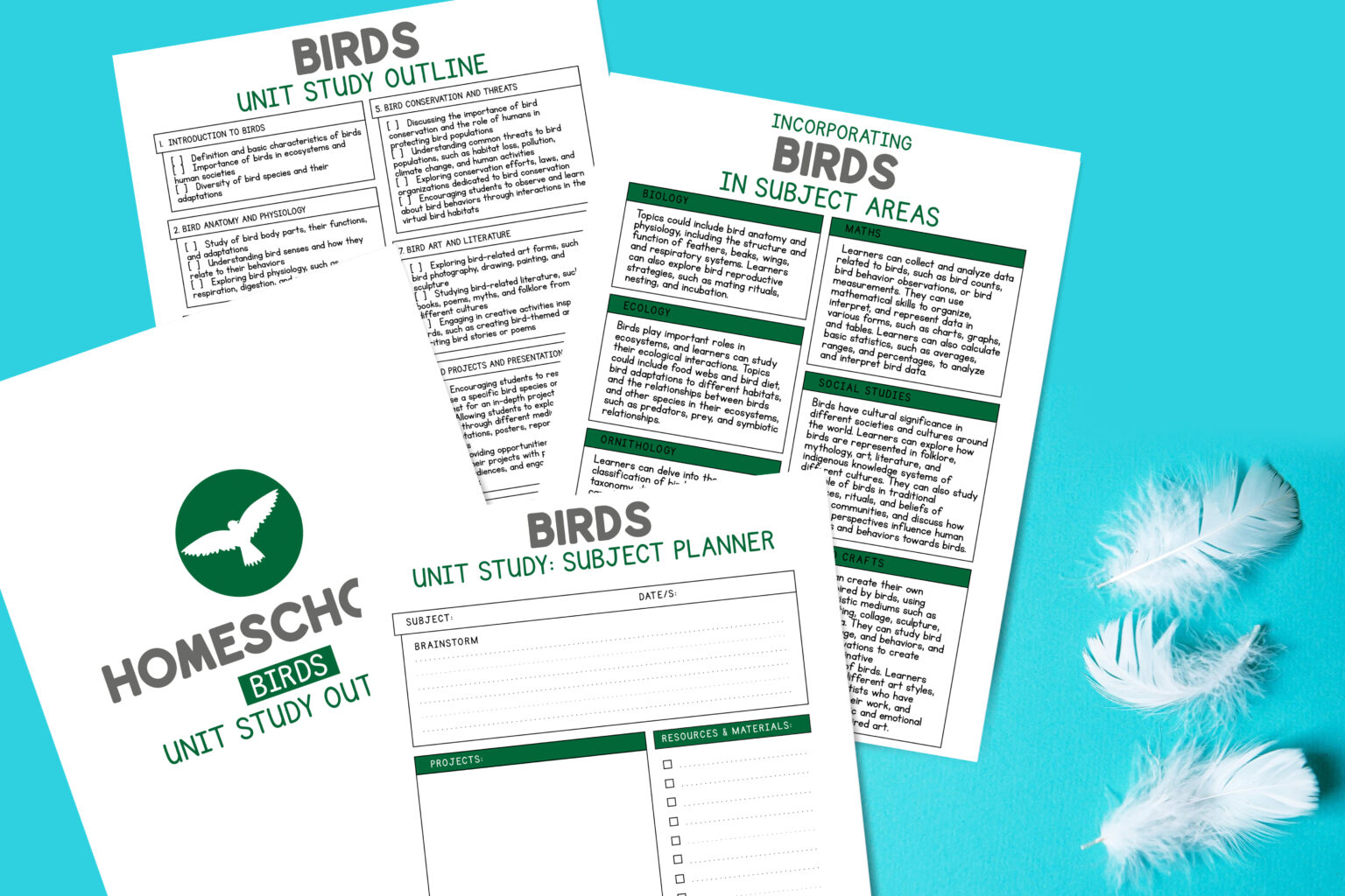 Bird Science Activities for Kids: Birds, Biology, and Nature