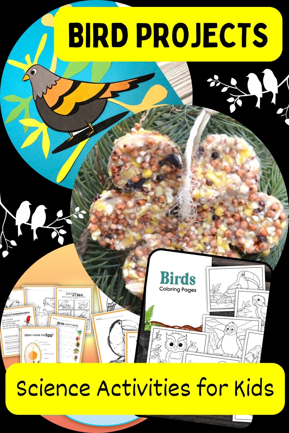 Bird Science Activities for Kids: Birds, Biology, and Nature